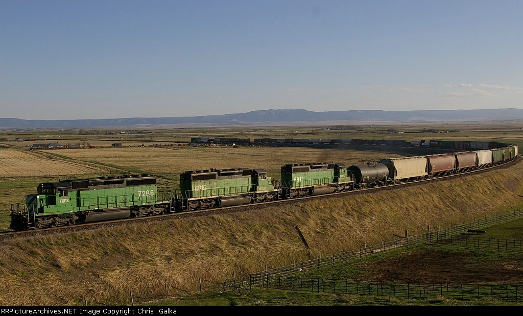 FURX 7286N north of not